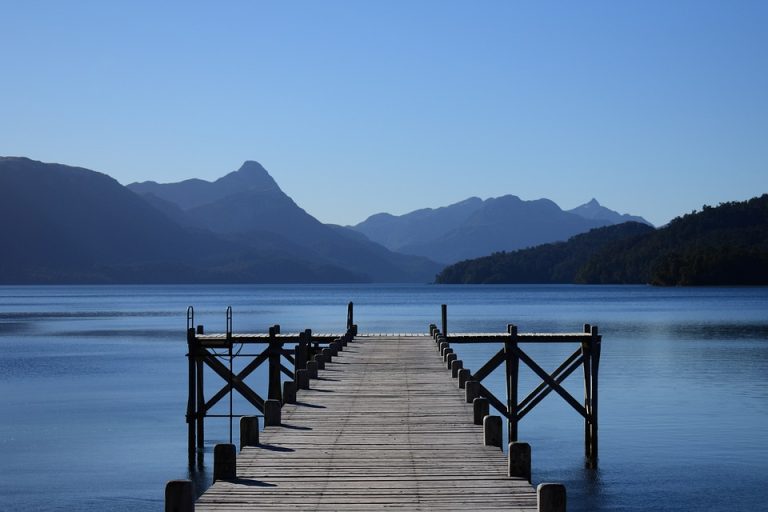 Het Verdrag van Tordesillas: De verdeling van de Nieuwe Wereld ...